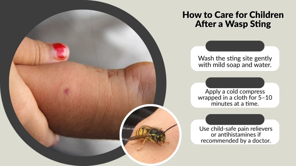 Normal Wasp Sting Reaction What Should You Do Immediately