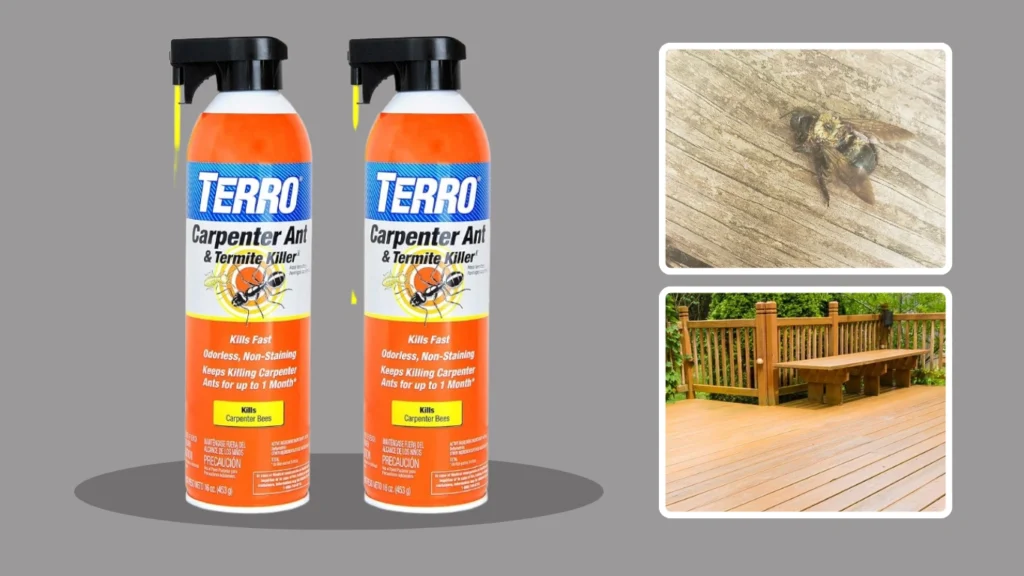 7 Best Carpenter Bee Sprays: Effective Solutions for Wood Protection