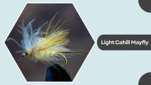 15 Common Types of Mayflies: Habitat, Behaviors, Pictures